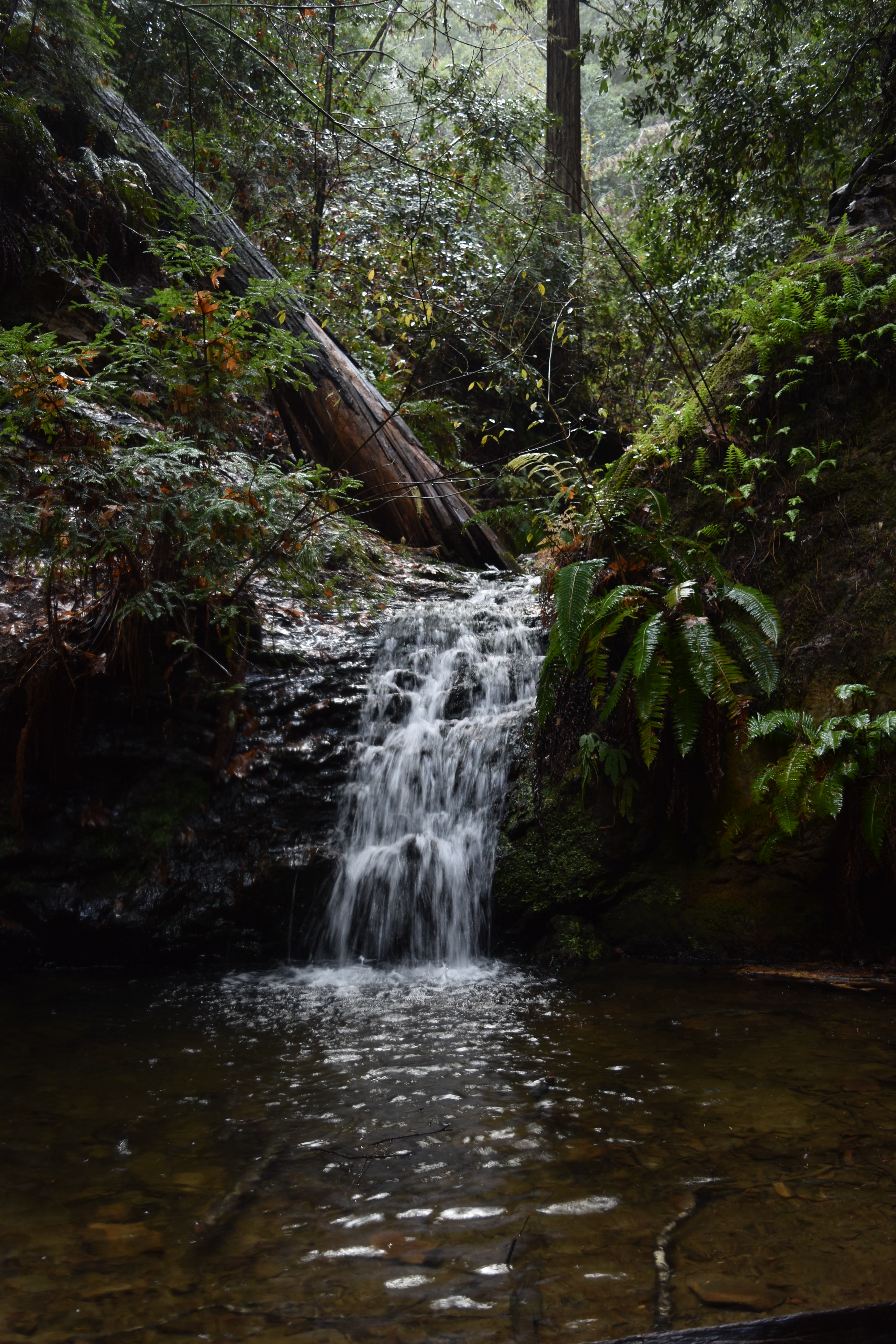 Tip Toe Falls, California – Waterfall Record