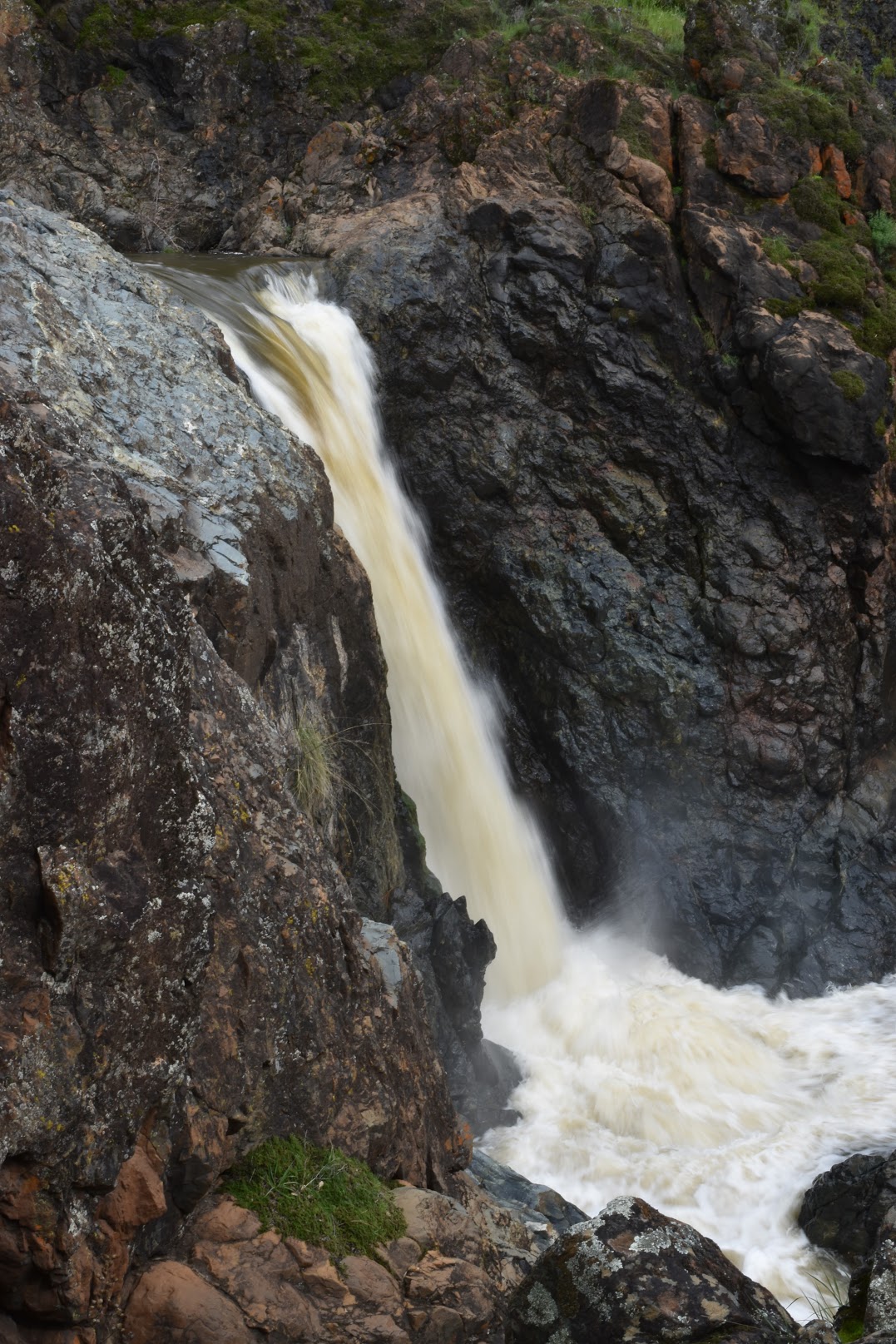 Lower Shingle Falls, California – Waterfall Record