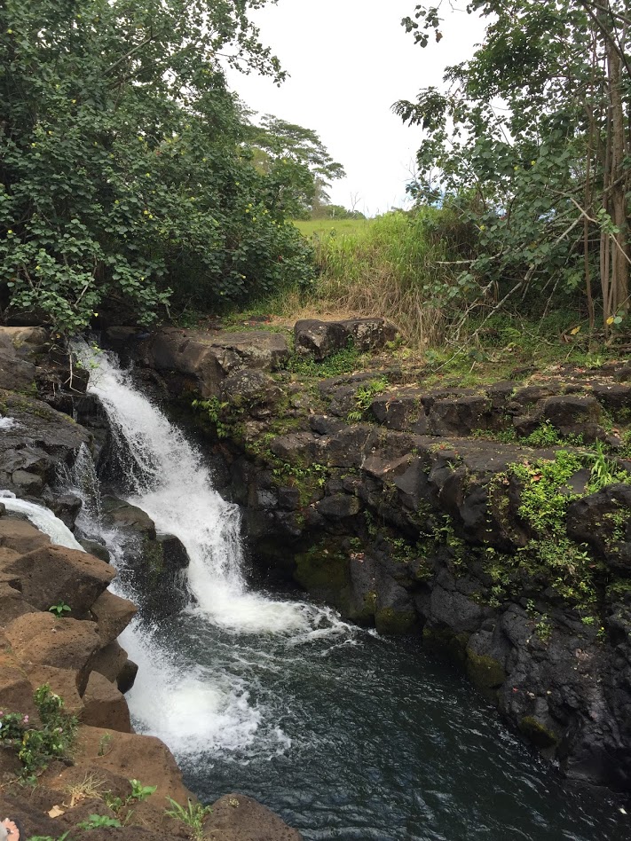 Ho’opi’i Falls, Hawaii – Waterfall Record