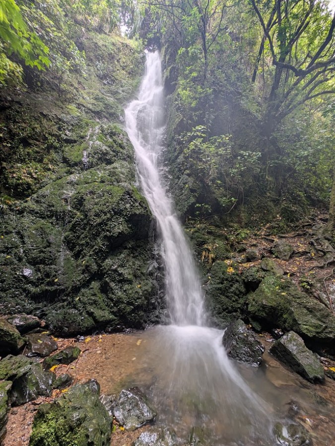 The Waterfall Record | My Memories of Falling Water