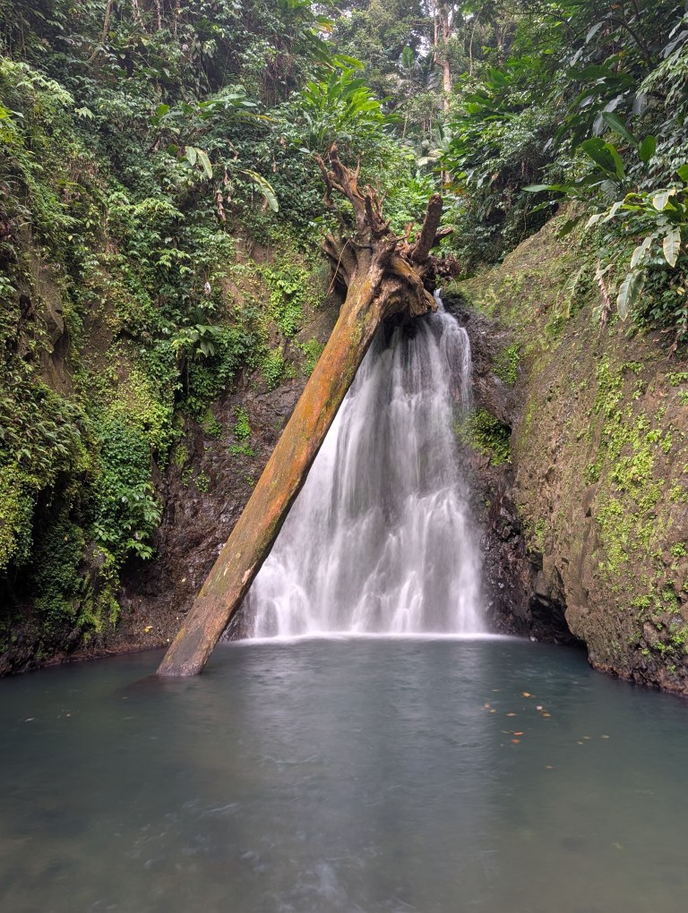 Seven Sisters Falls, Grenada – Waterfall Record
